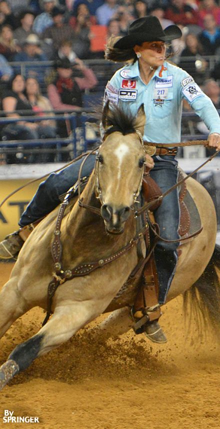 Comment Choisir son Cheval de Baril – Rodeo and Things