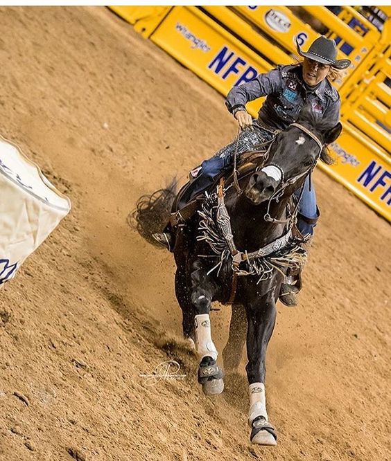 Comment Choisir son Cheval de Baril – Rodeo and Things